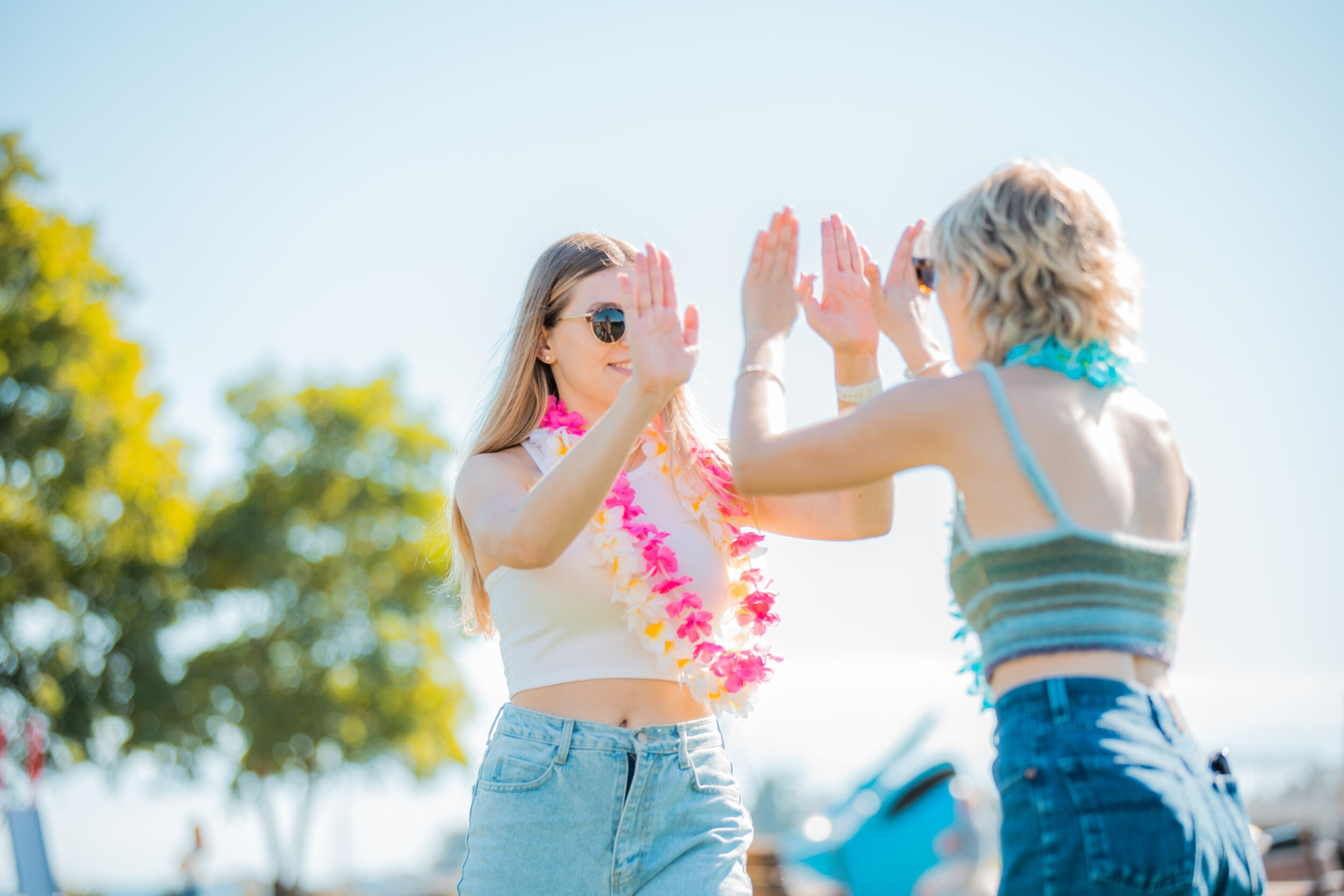 Program Structure — UVIC CSS