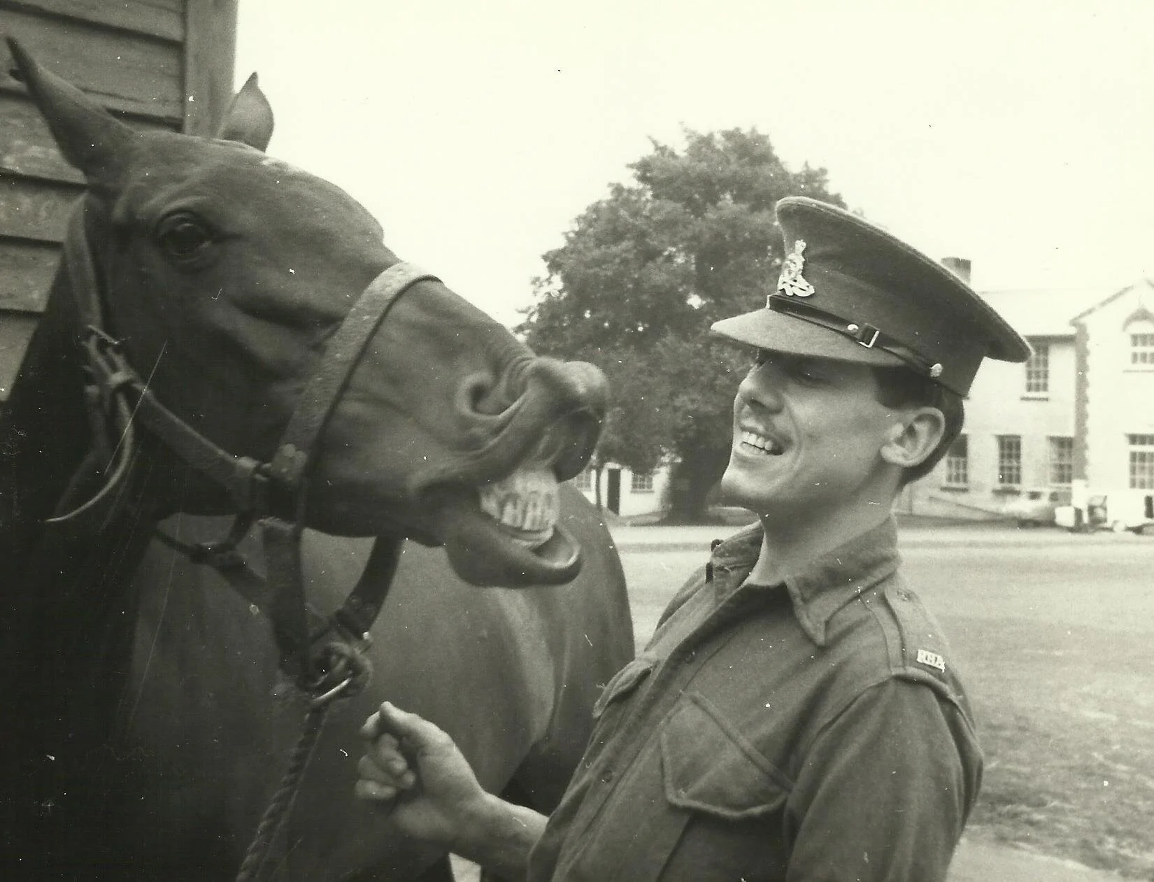 Oldies — The King's Troop R.H.A. Association