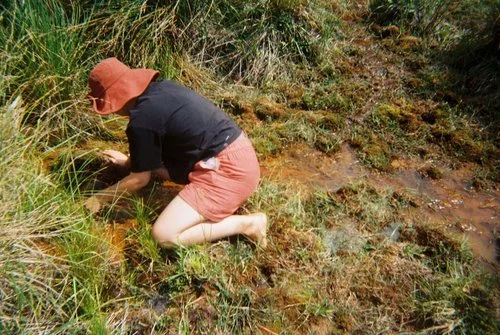 Tikanga · Customary guides — He Kapunga Oneone