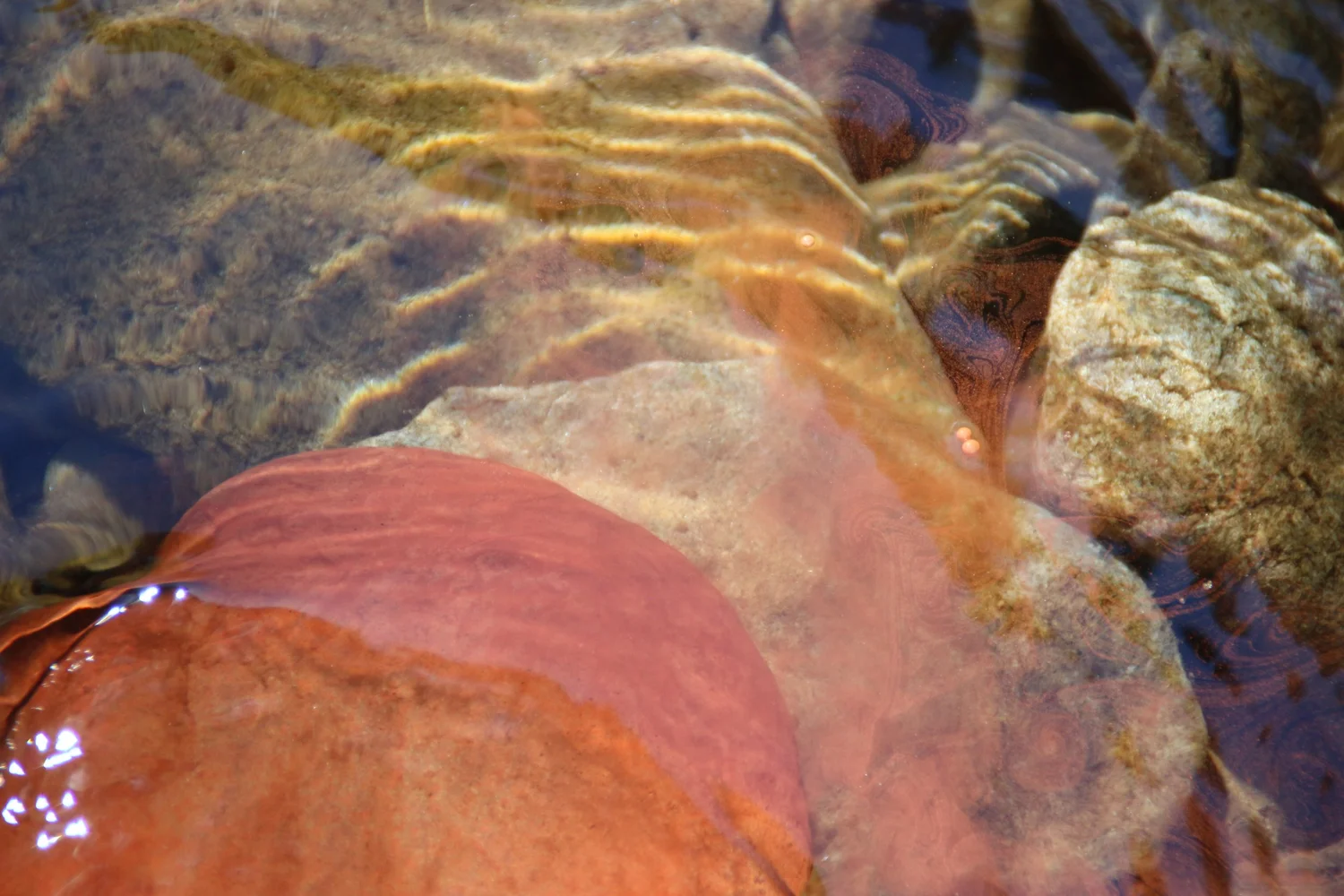 How-to guides — He Kapunga Oneone