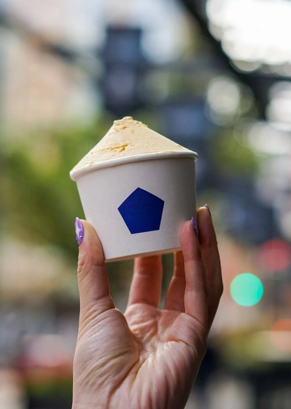 Mister Artisan Ice Cream