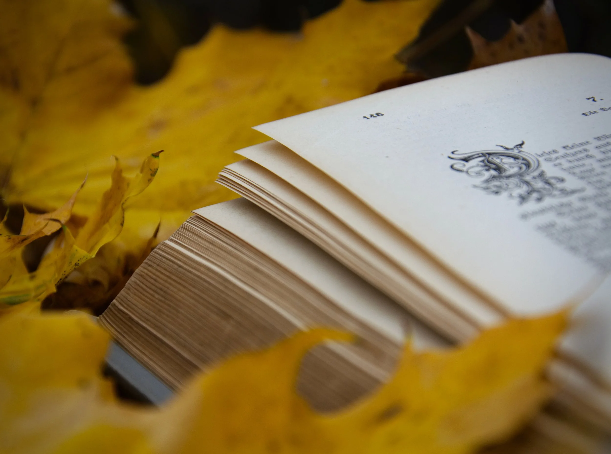 15 Fantasy Books I m Embarrassed I Haven t Read Yet Books Are My