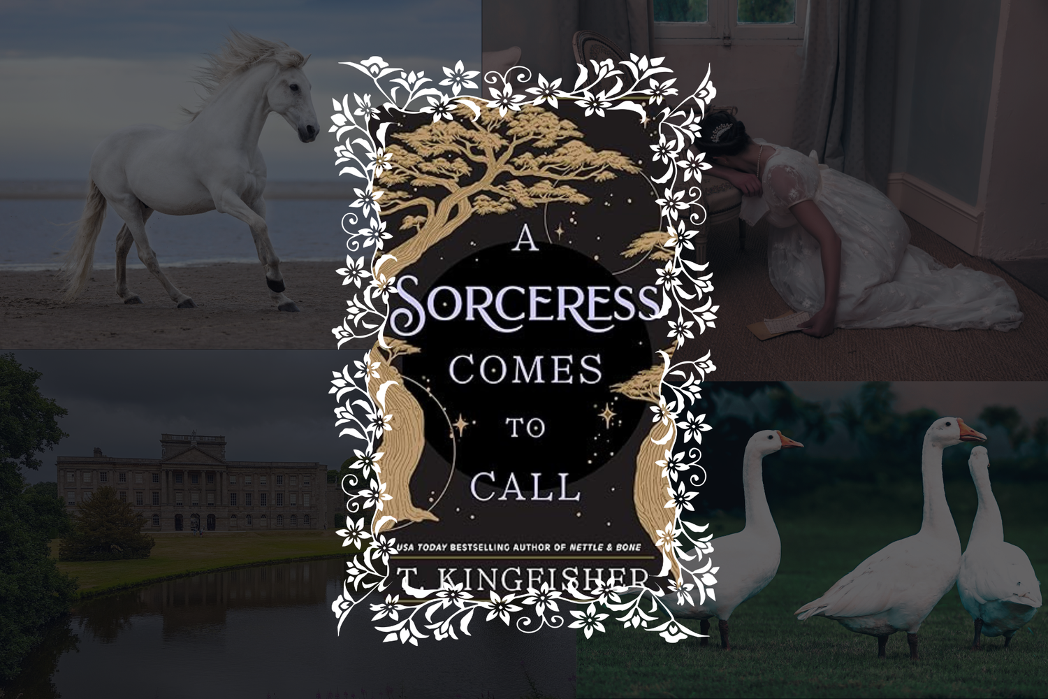 Book Review: Why ‘A Sorceress Comes to Call’ by T. Kingfisher is an ...