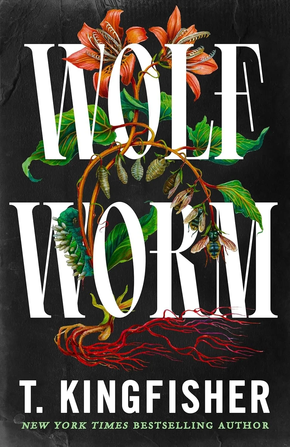 26 Most Anticipated Fantasy + Romantasy Novels Releasing in 2026 that ...