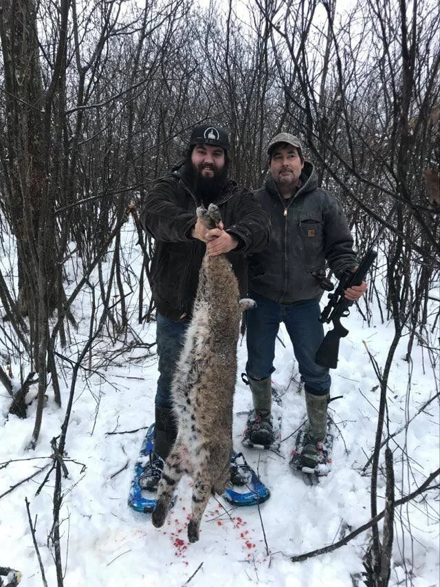 Wisconsin Bobcat Hunting — Spruce River Guide Service
