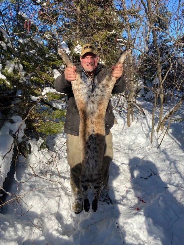 Wisconsin Bobcat Hunting — Spruce River Guide Service