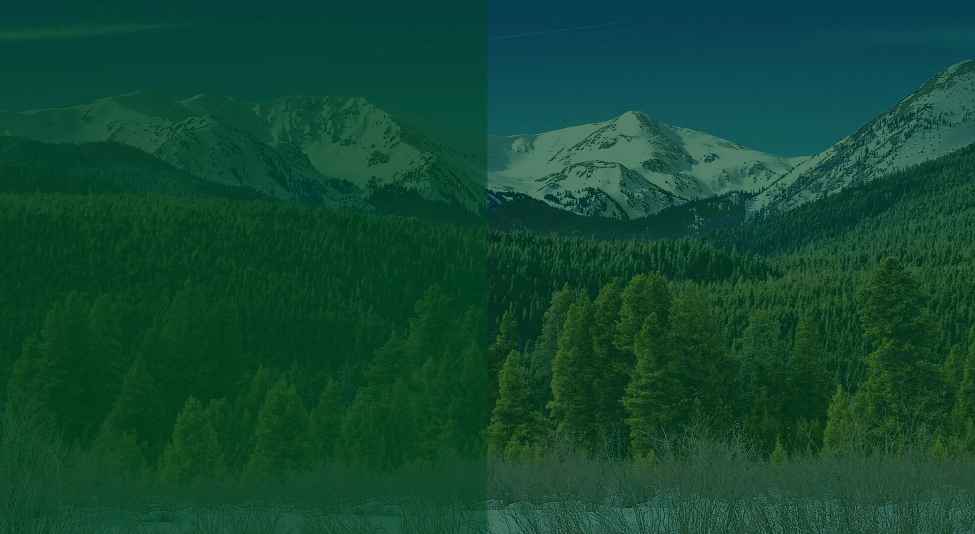 Watchtower Capital Partners