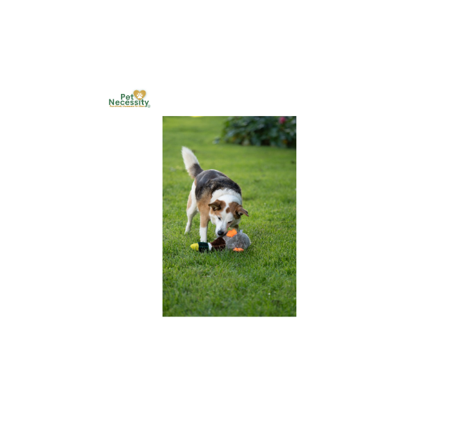 Petface Honkin Duck Plush dog Toy