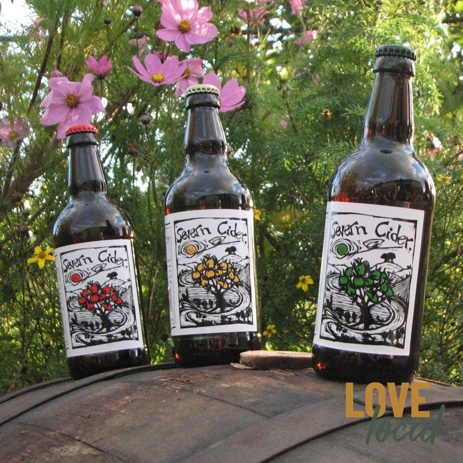 Severn Cider — Warner's