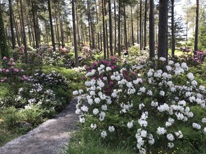 Turun seudun ihanat luontoreitit x 10 — Suntrail Oy