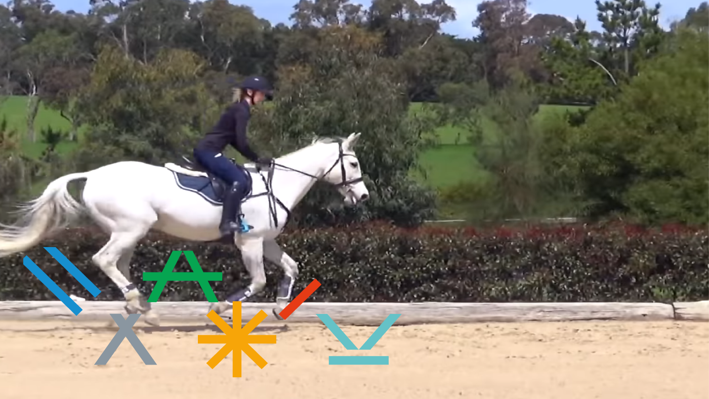 Advertising Opportunities for Equestrian and Horse brands