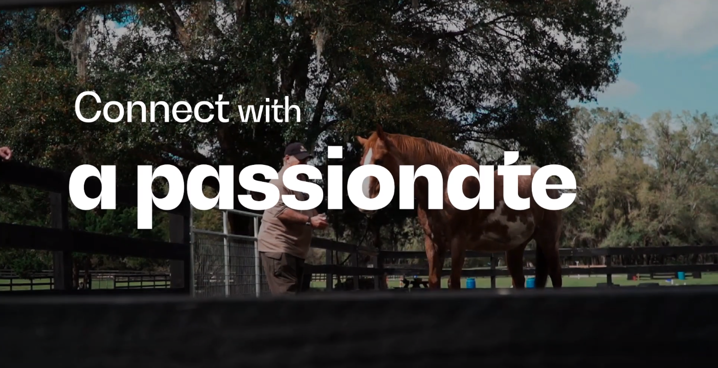 Advertising Opportunities for Equestrian and Horse brands