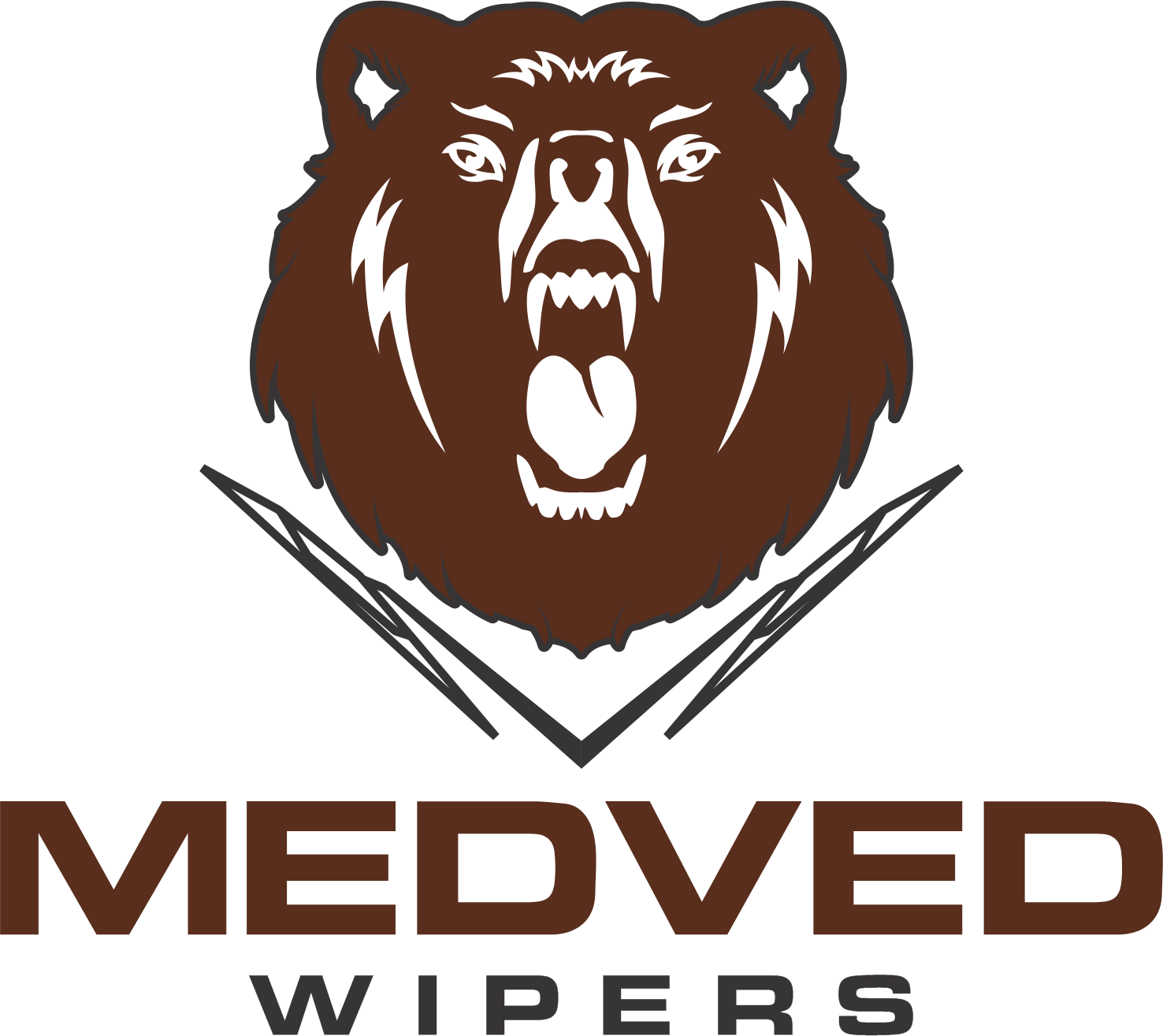 Medved Logo