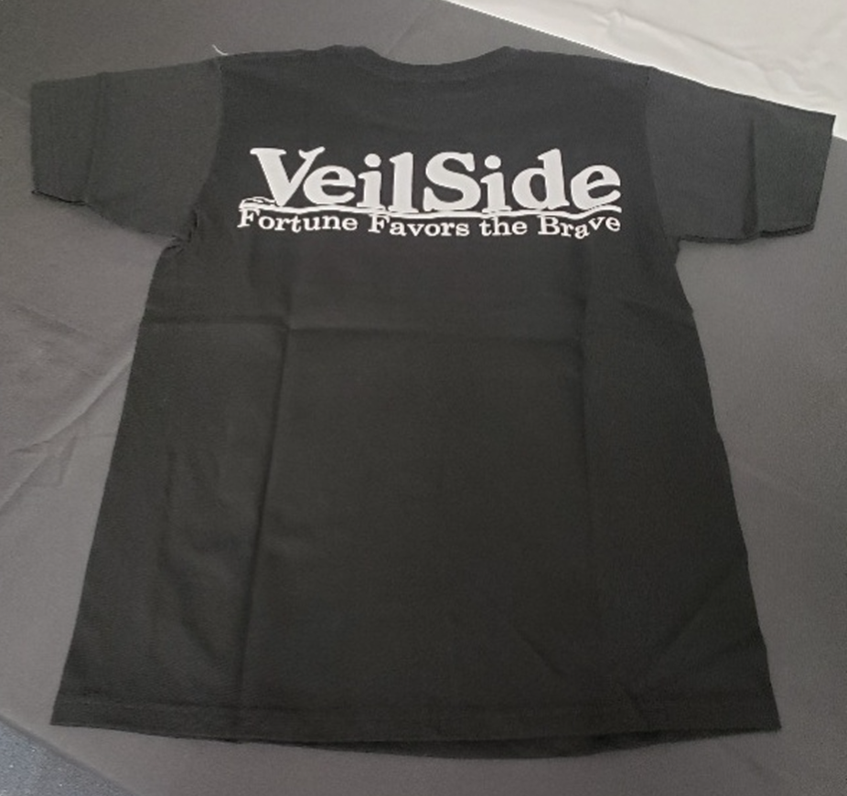 VeilSide Nissan Silvia S15 VS-D1 Works Wide Body Complete Kit — HyperNight