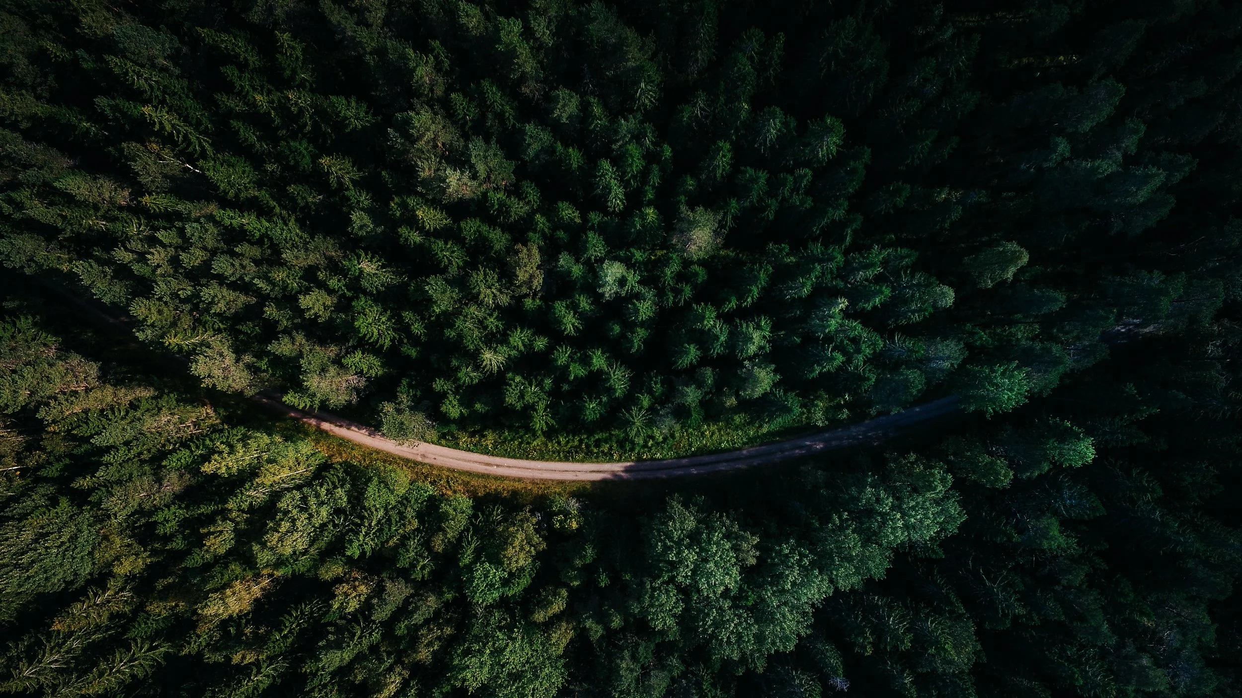 Material Matters: Unveiling the Critical Role of Fiber Sourcing and ...