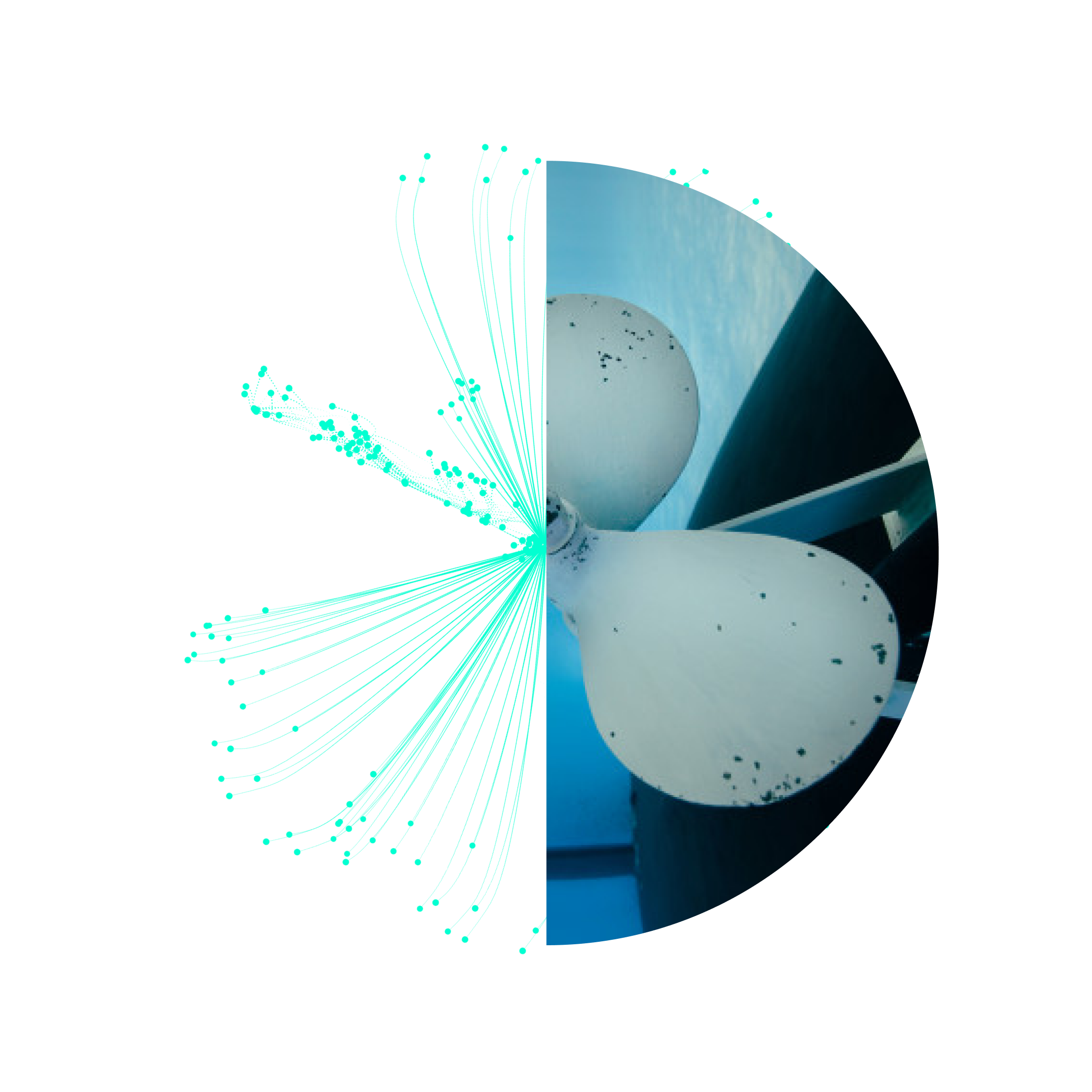 HUB Ocean | Dedicated to Unlocking Ocean Data