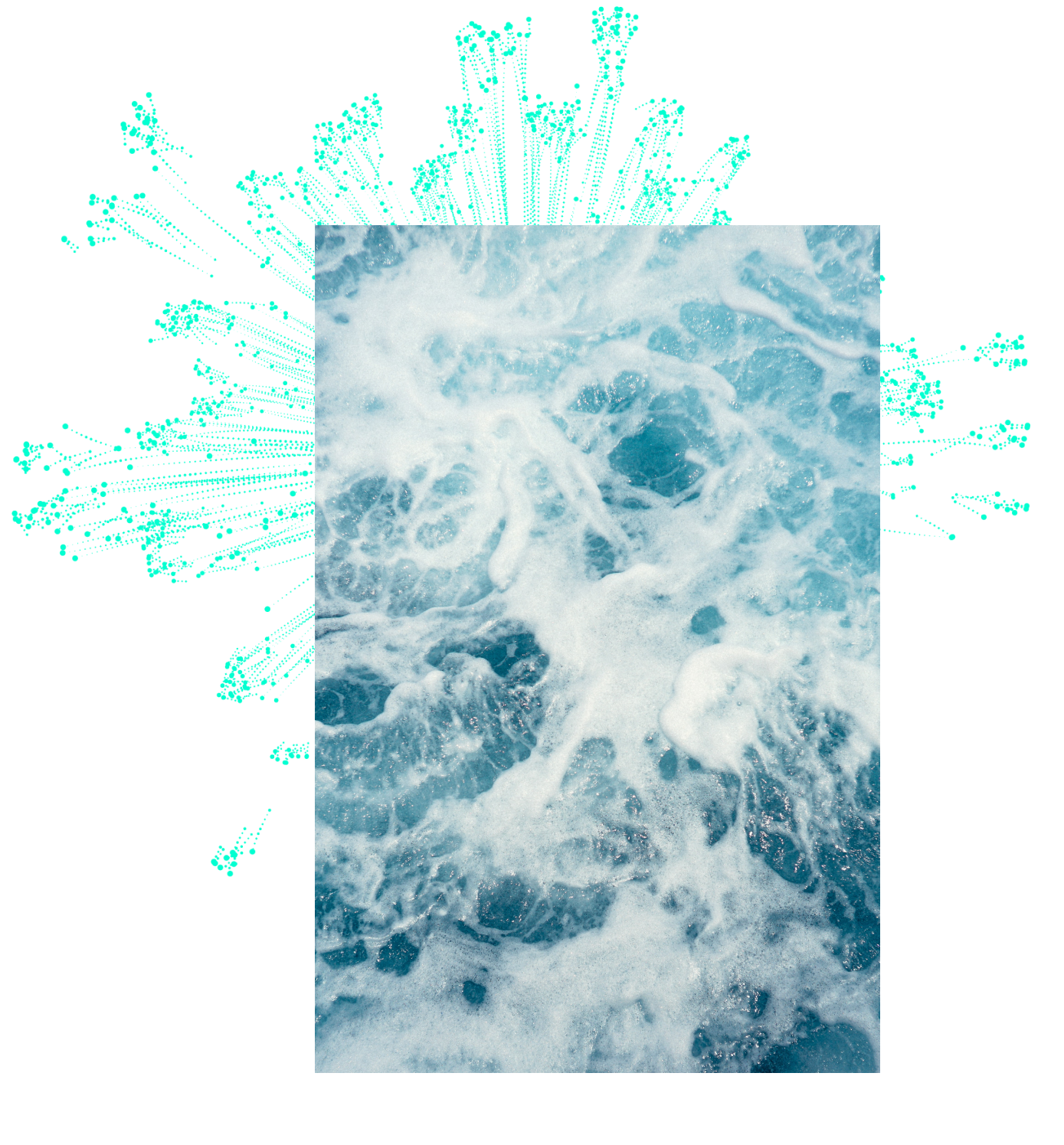 HUB Ocean | Dedicated to Unlocking Ocean Data