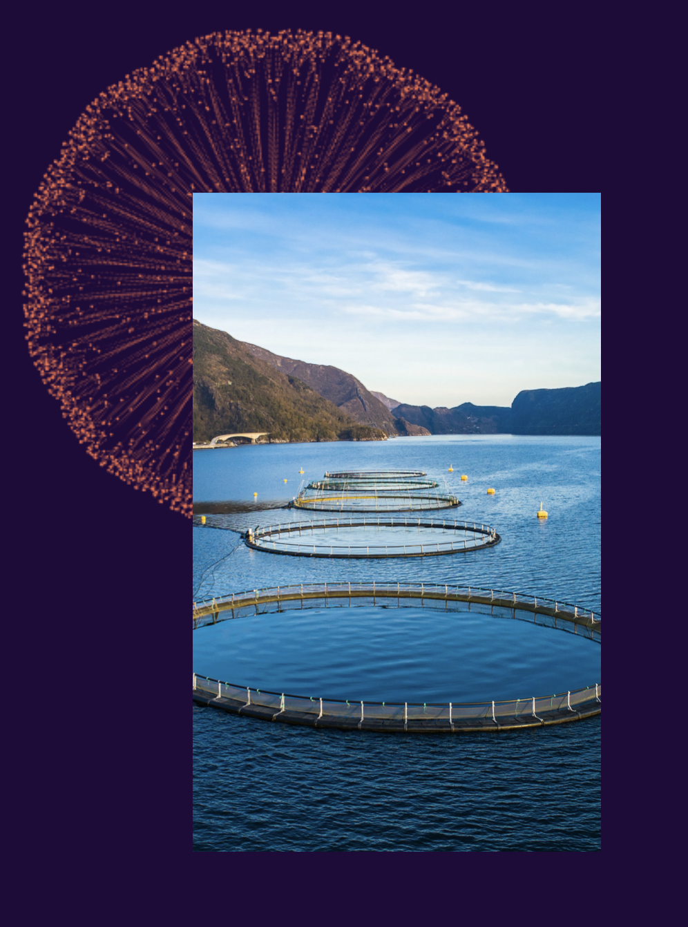 HUB Ocean | Dedicated to Unlocking Ocean Data