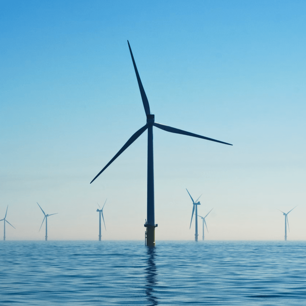 Ocean Sensitive Areas — HUB Ocean | Dedicated to Unlocking Ocean Data