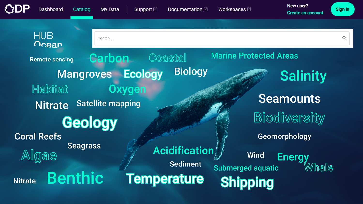 HUB Ocean | Unlocking Ocean Data