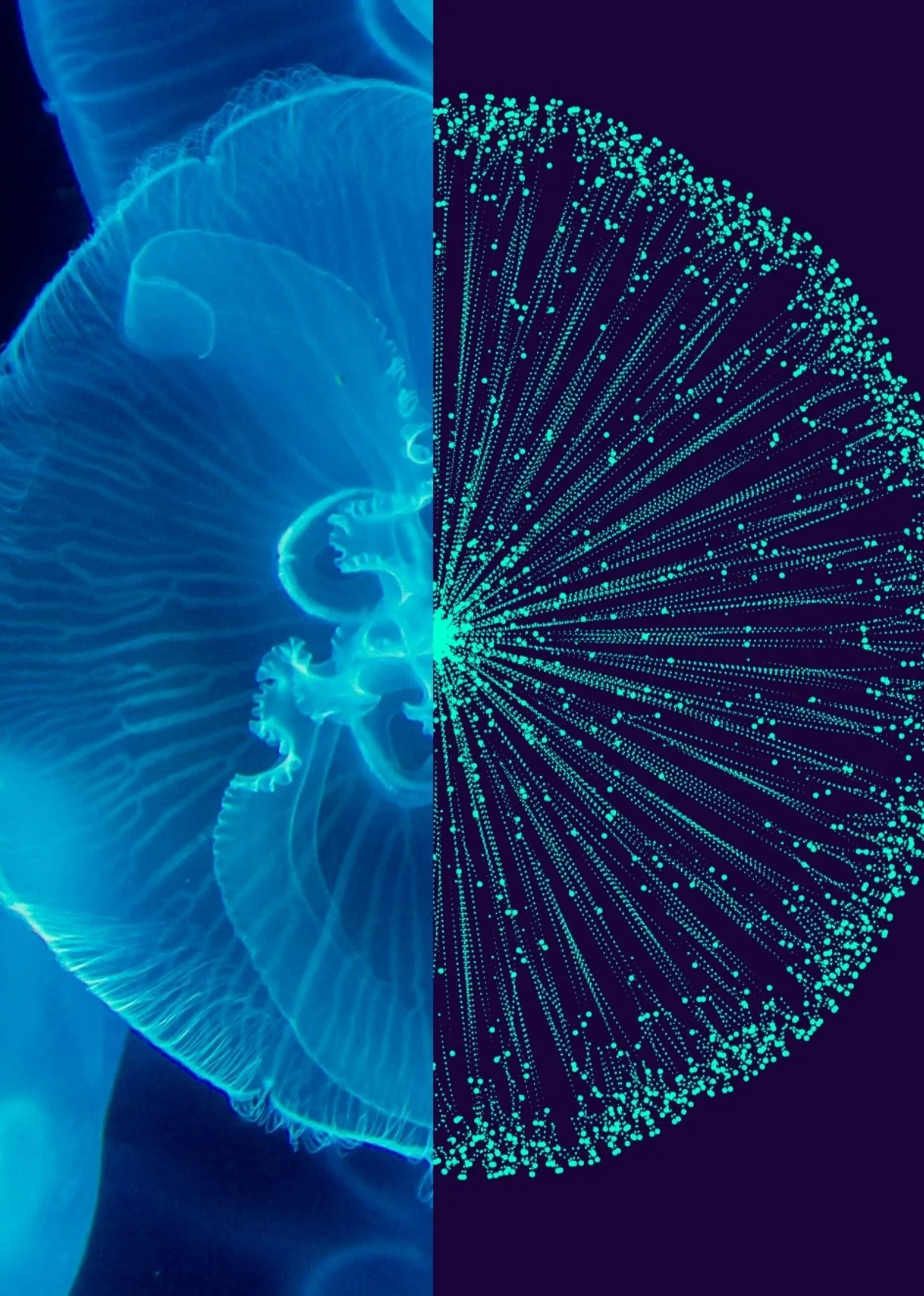 Digital tools addressing the pain points scientists face — HUB Ocean ...