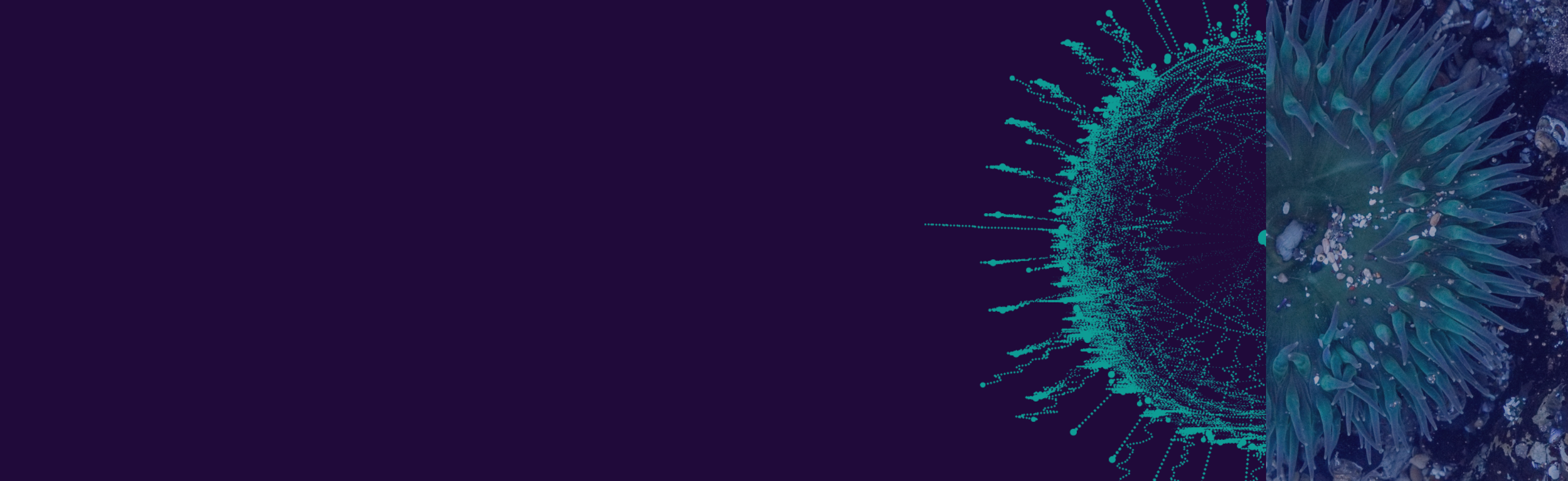 Private Preview Application — HUB Ocean | Dedicated to Unlocking Ocean Data