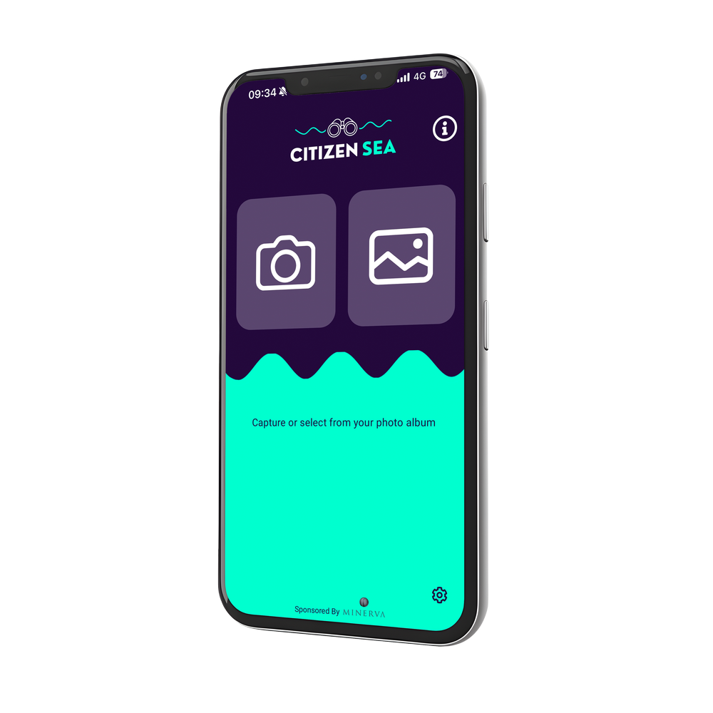 Citizen Sea — HUB Ocean | Dedicated to Unlocking Ocean Data