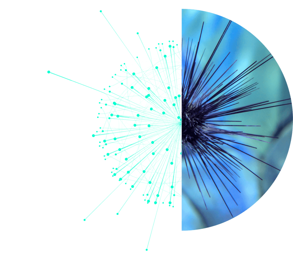 HUB Ocean | Dedicated to Unlocking Ocean Data