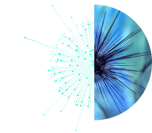 HUB Ocean | Unlocking Ocean Data