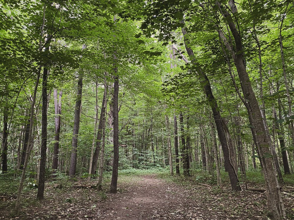 Parks & Recreation — Town of Markle