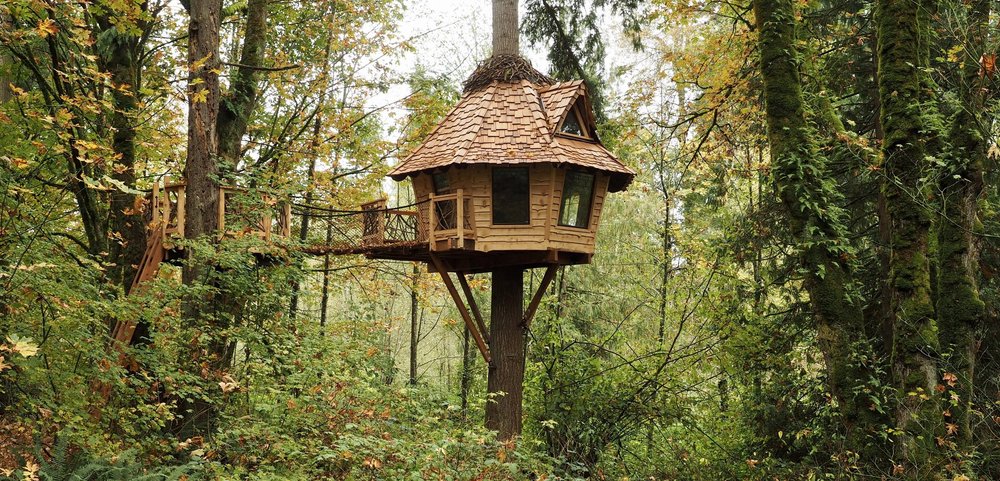 Wild Tree Woodworks - Custom Treehouse Builders