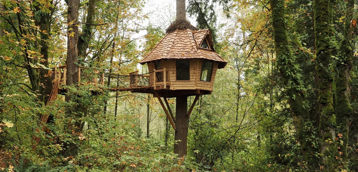 Wild Tree Woodworks - Custom Treehouse Builders
