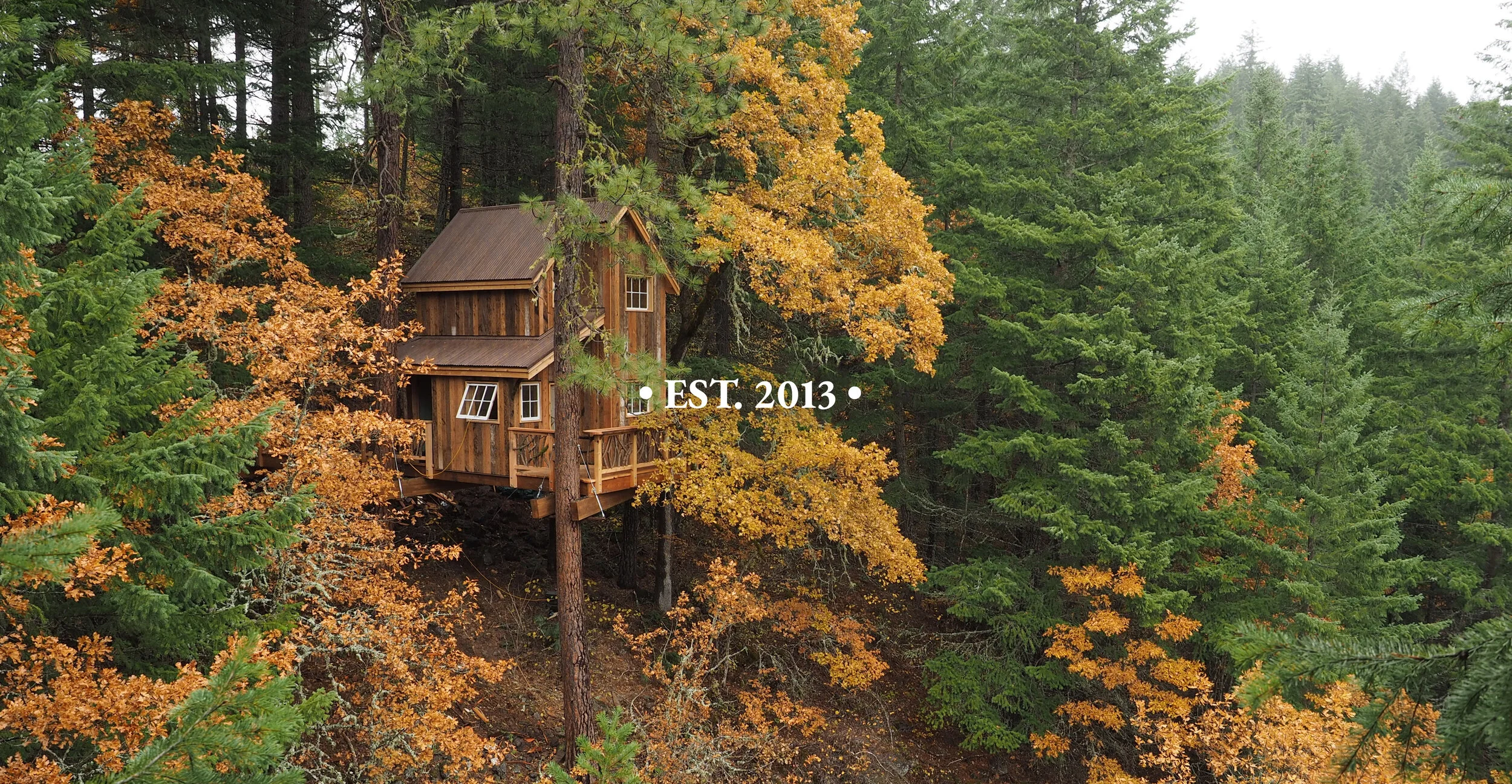 Wild Tree Woodworks - Custom Treehouse Builders
