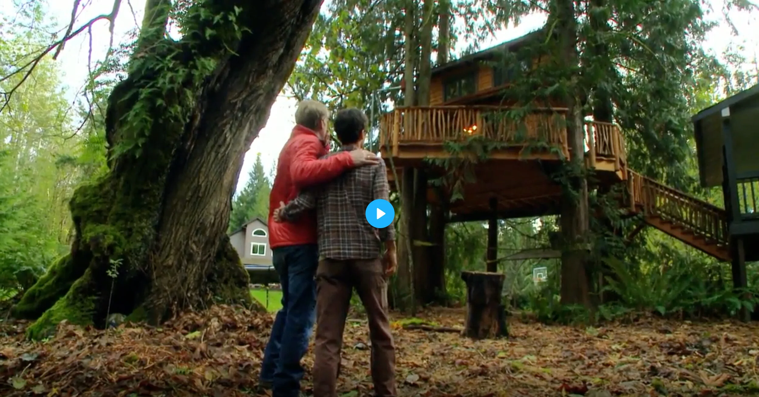 Wild Tree Woodworks - Custom Treehouse Builders