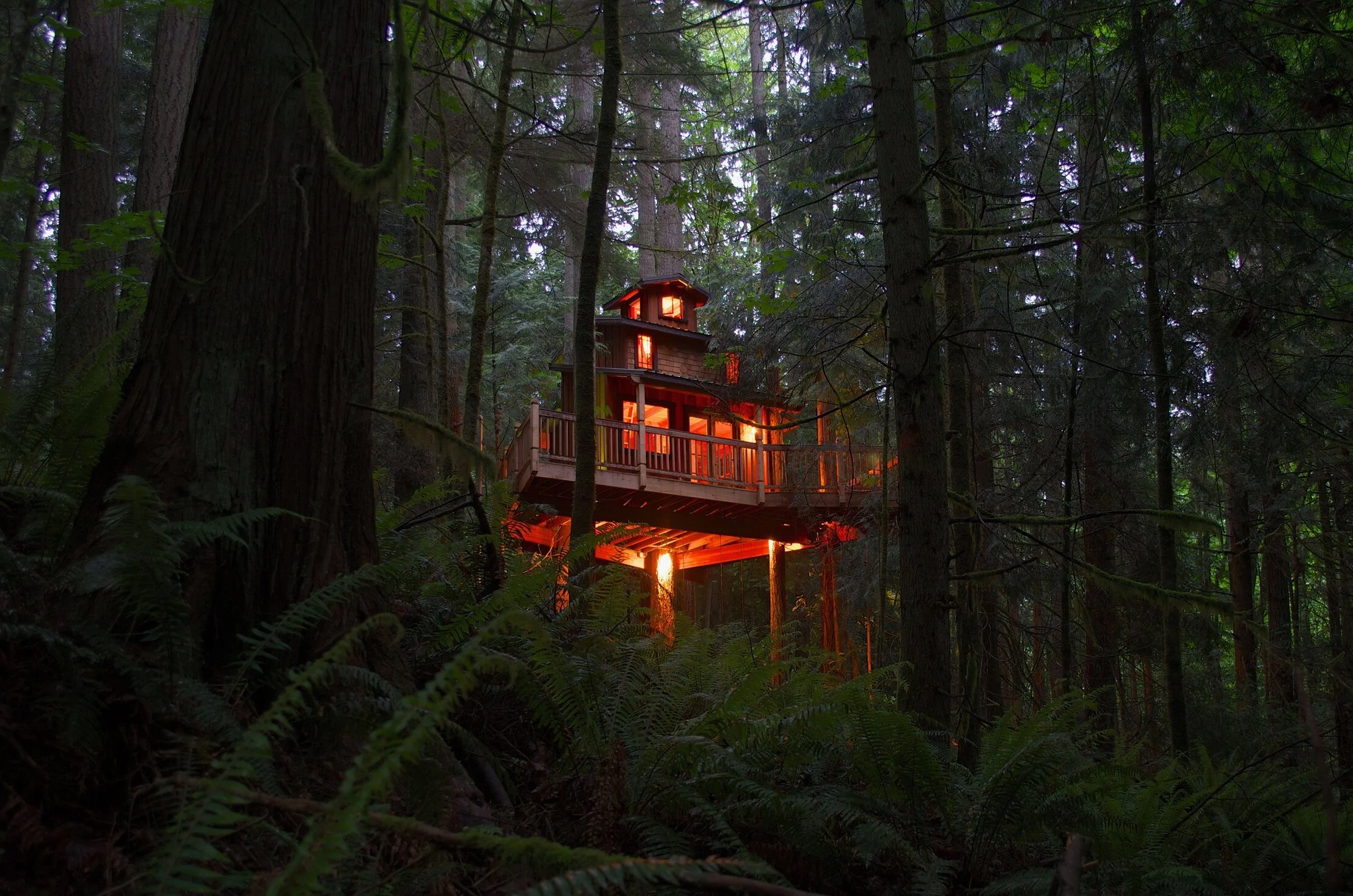 Wild Tree Woodworks - Custom Treehouse Builders