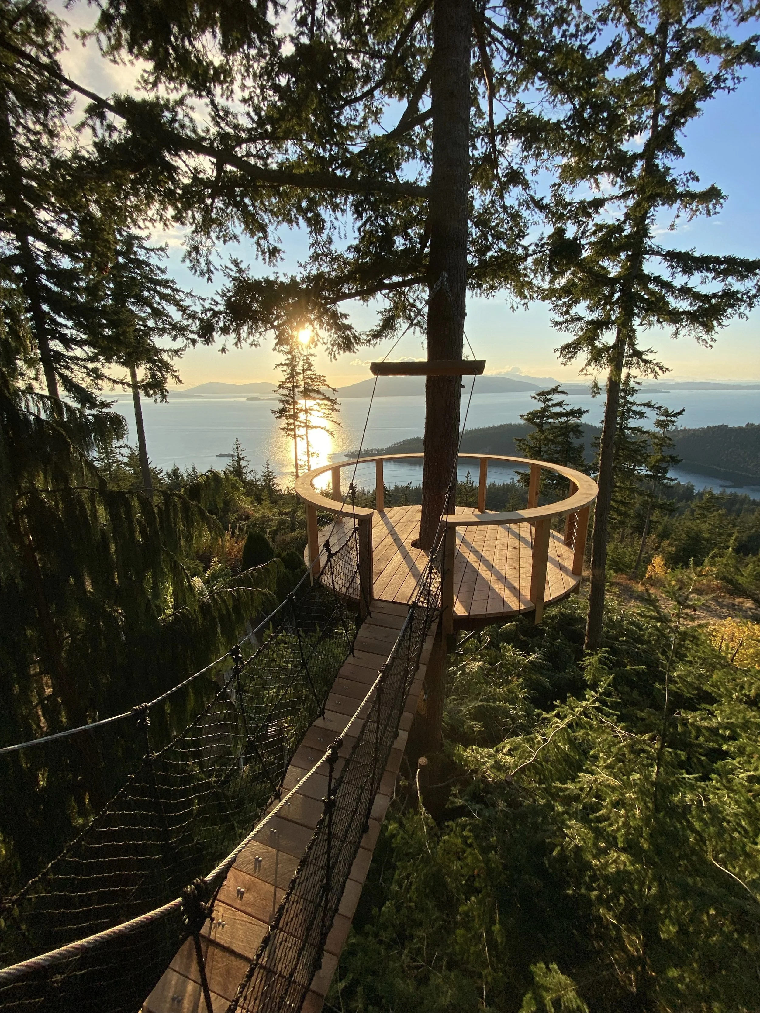 Our Company — Wild Tree Woodworks - Custom Treehouse Builders