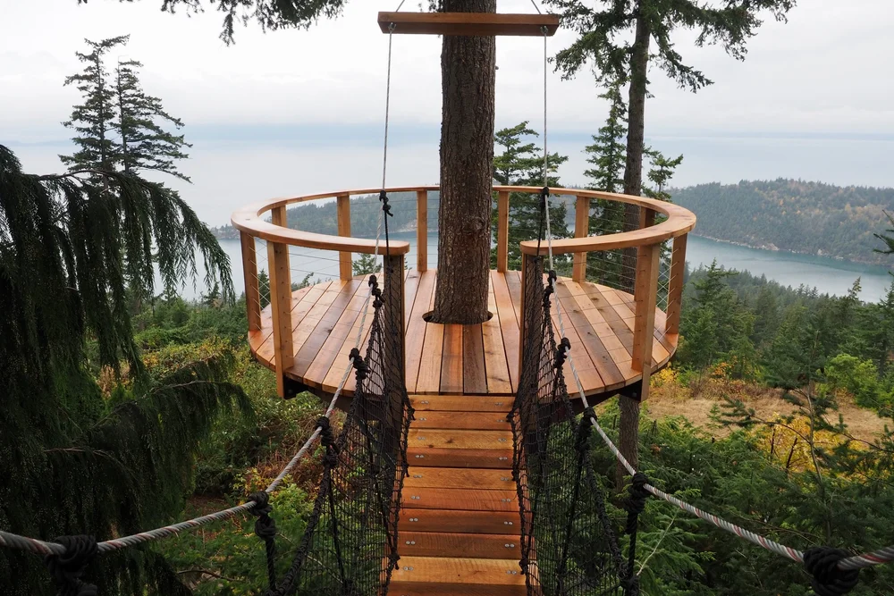 Unlock the Vertical Potential of Your Property: Build a Treehouse and ...