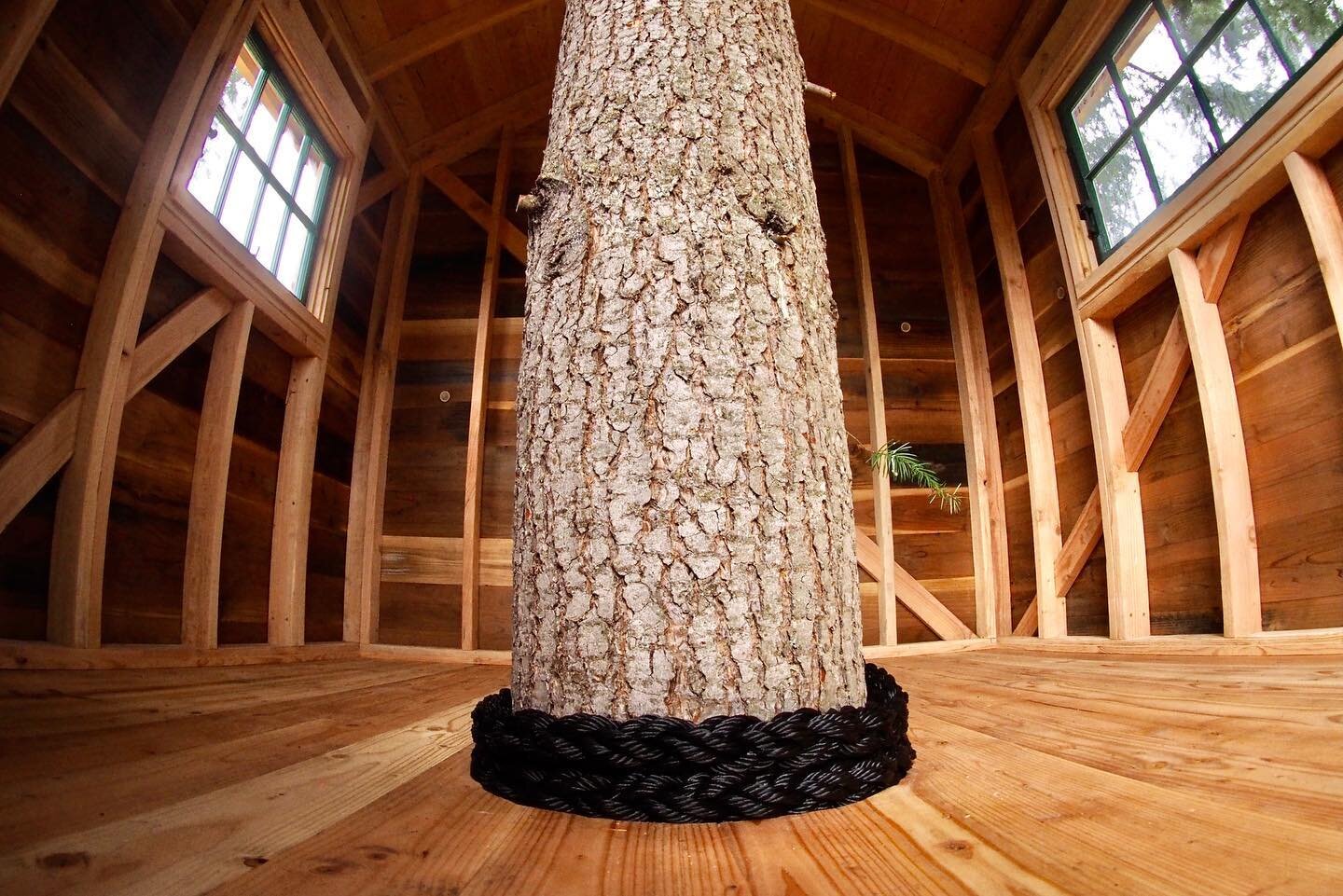 Wild Tree Woodworks - Custom Treehouse Builders