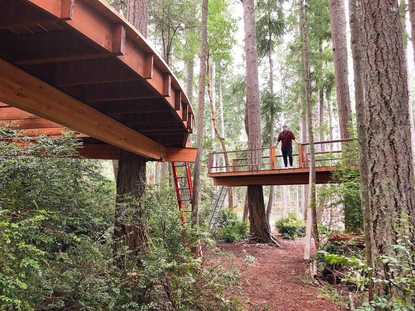 Wild Tree Woodworks - Custom Treehouse Builders