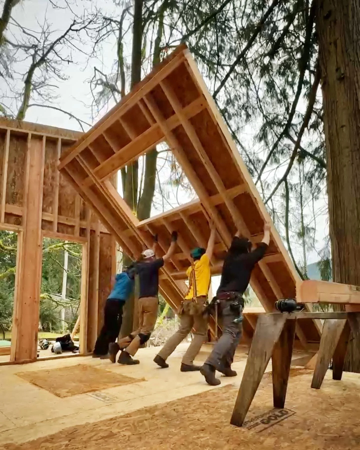 Wild Tree Woodworks - Custom Treehouse Builders