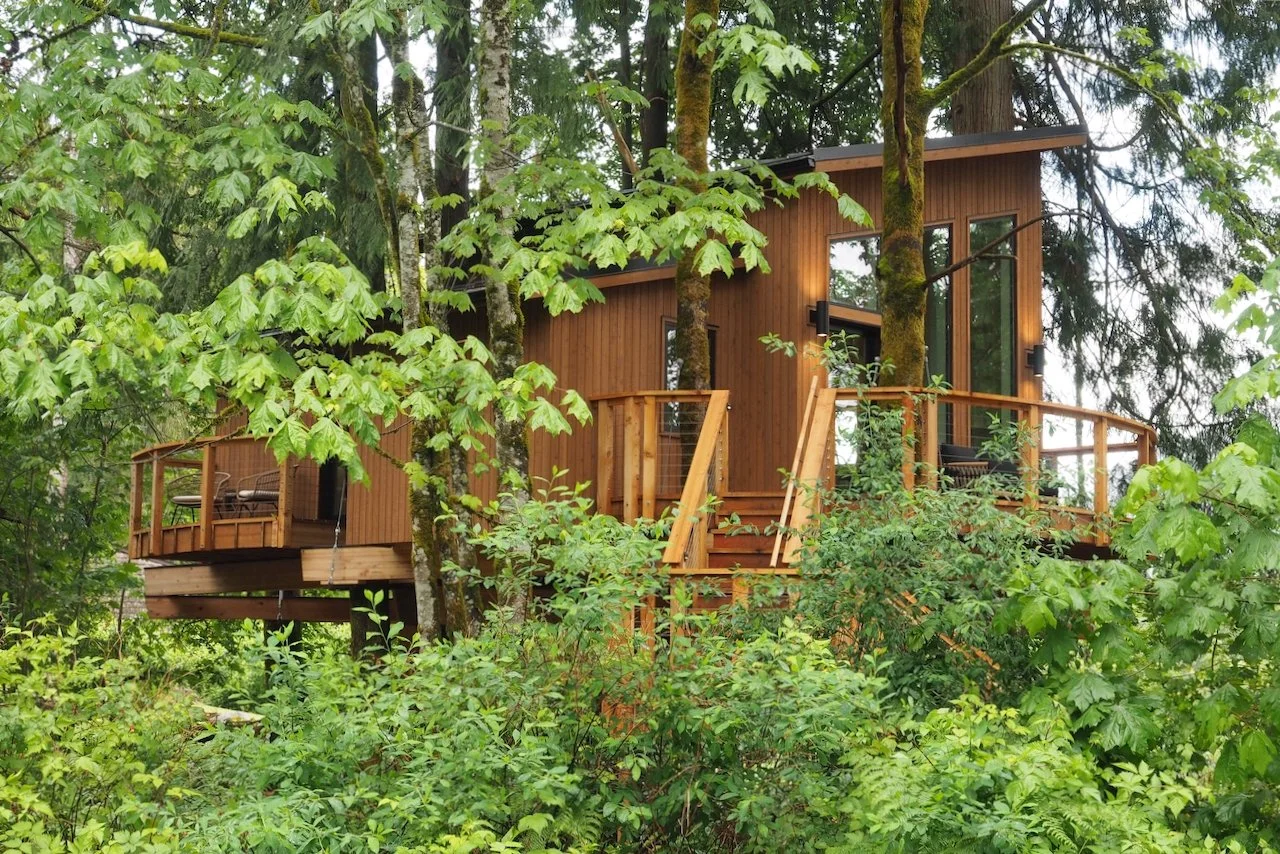 Our Company — Wild Tree Woodworks - Custom Treehouse Builders