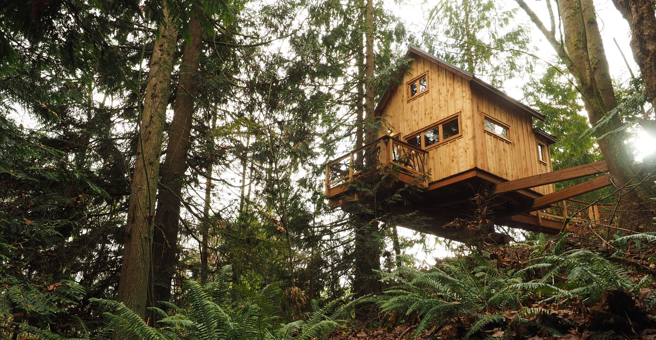 Wild Tree Woodworks - Custom Treehouse Builders