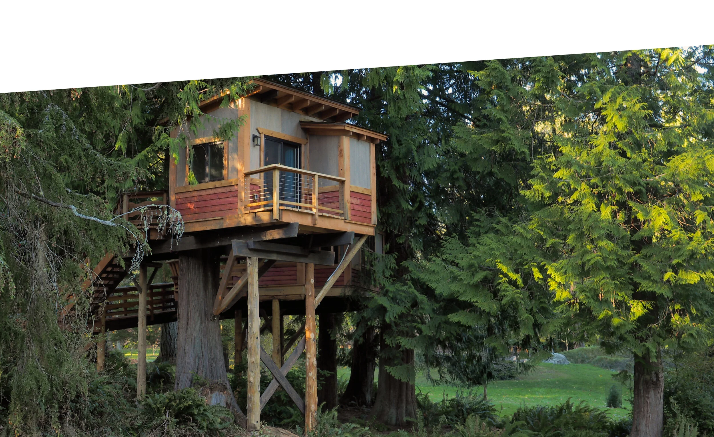 Wild Tree Woodworks - Custom Treehouse Builders