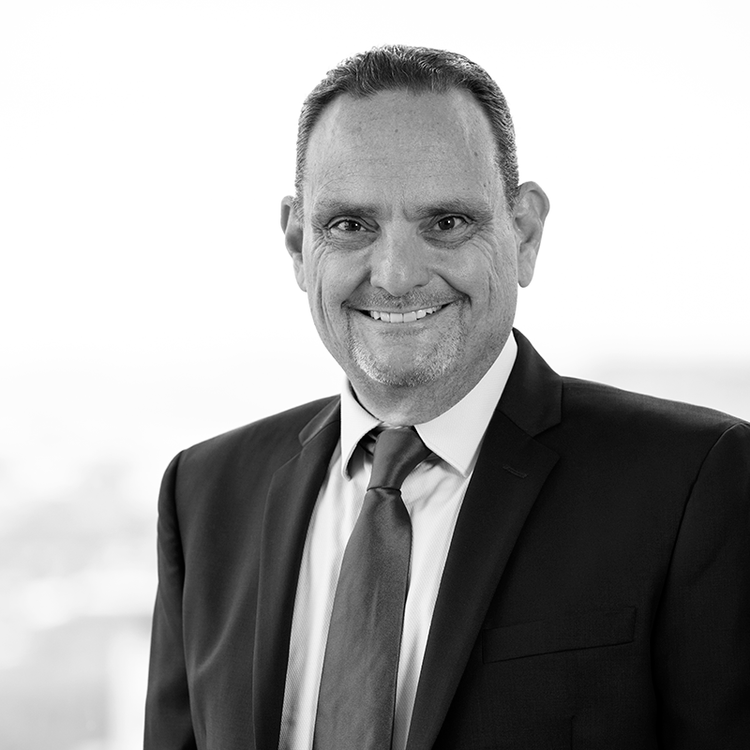 Team — Ian Levitt Attorneys