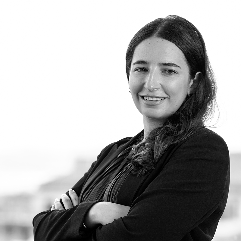 Team — Ian Levitt Attorneys