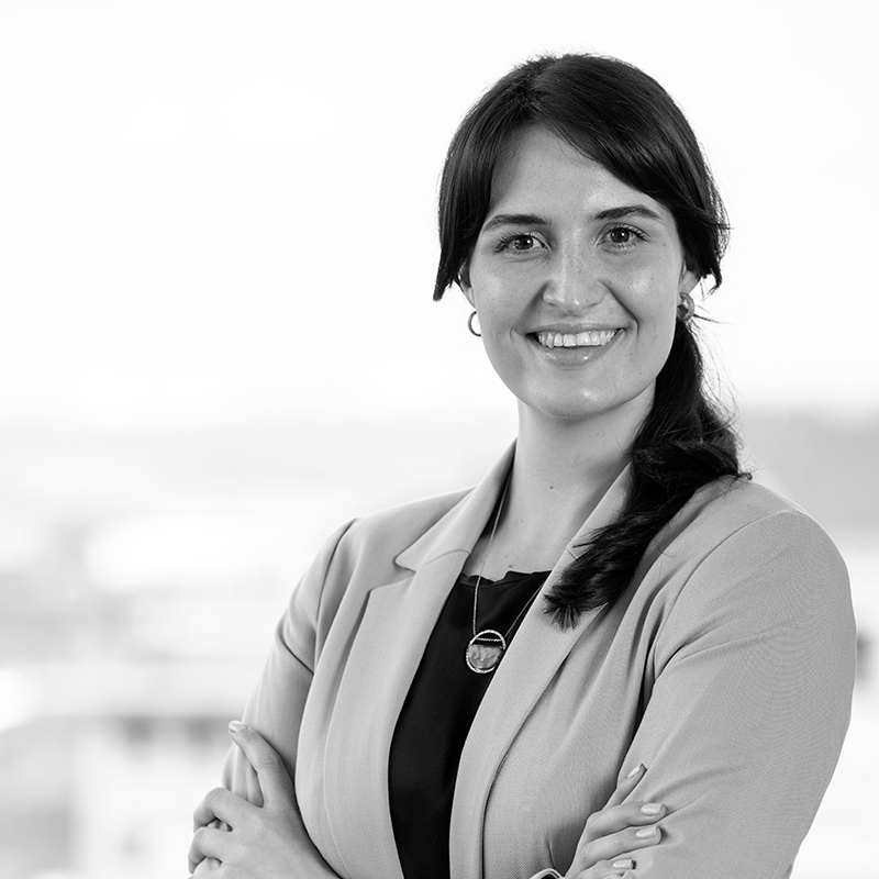 Team — Ian Levitt Attorneys