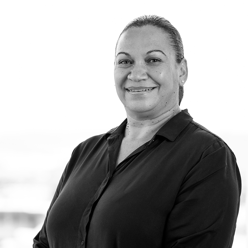 Team — Ian Levitt Attorneys