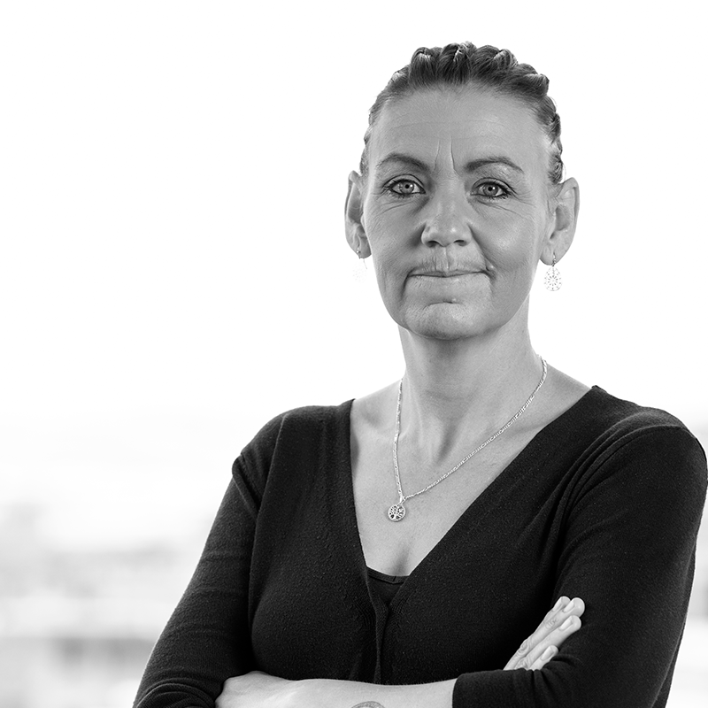 Team — Ian Levitt Attorneys