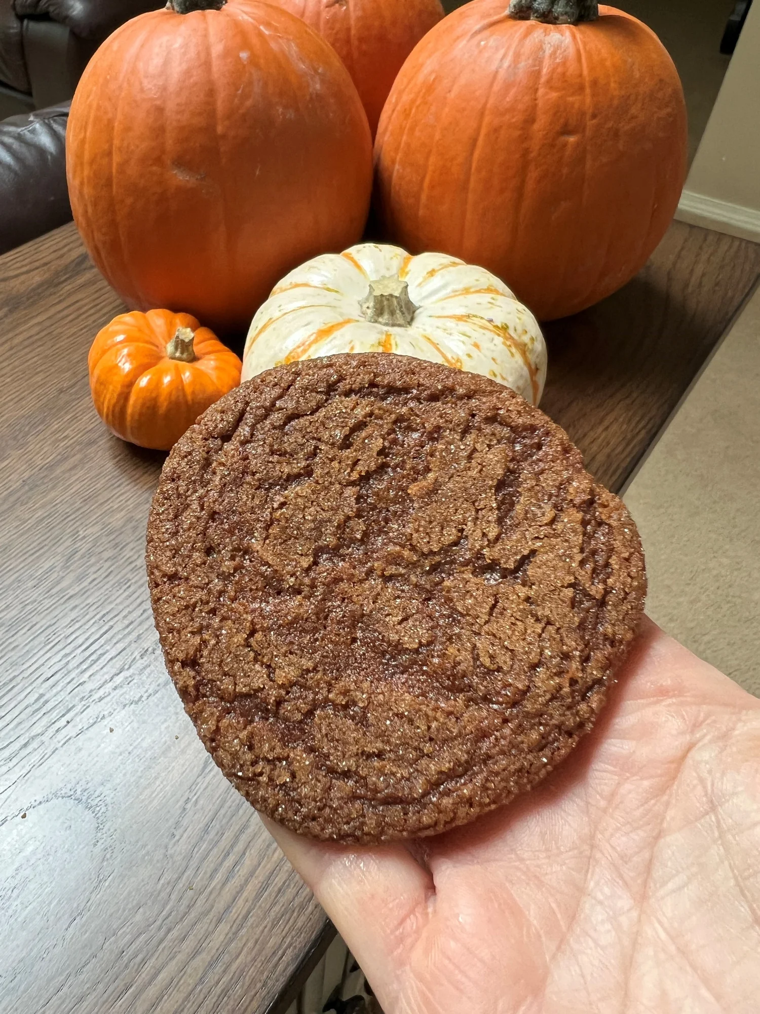 Molasses Cookies — Rusty Moose Farm