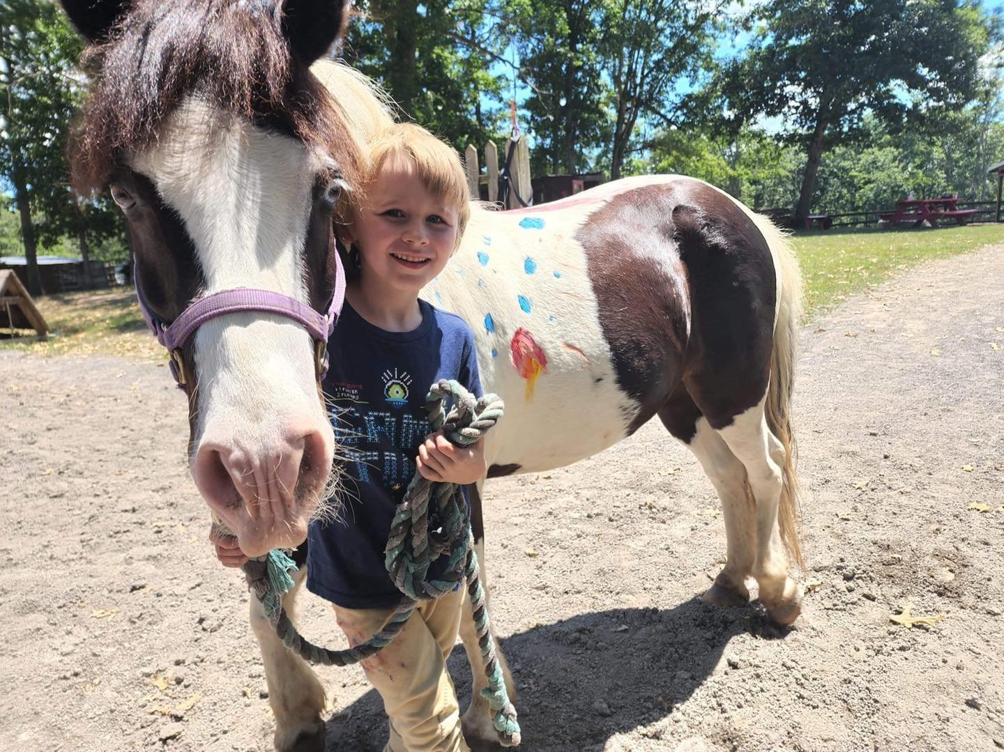 Services 1 — Spring Gap Farm